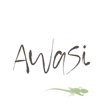 Awasi logo PNG - Unique Latin America